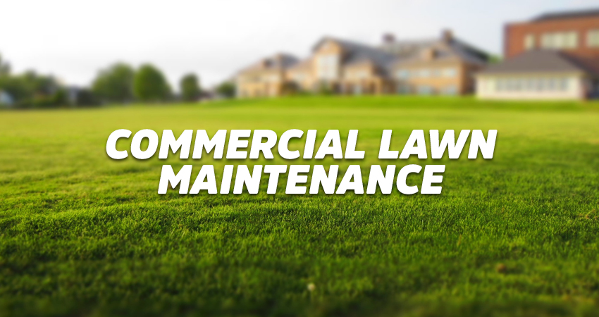 Commercial Lawn Maintenance - Viera Lawn Care | Commercial ...